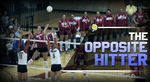 Volleyball Positions (Important Roles and Responsibilities ...
